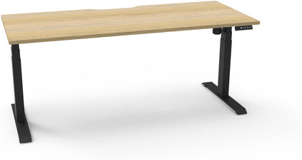 Sit Stand Electric Standing Desk, Dual Motors, Workstation Boost+ Plus