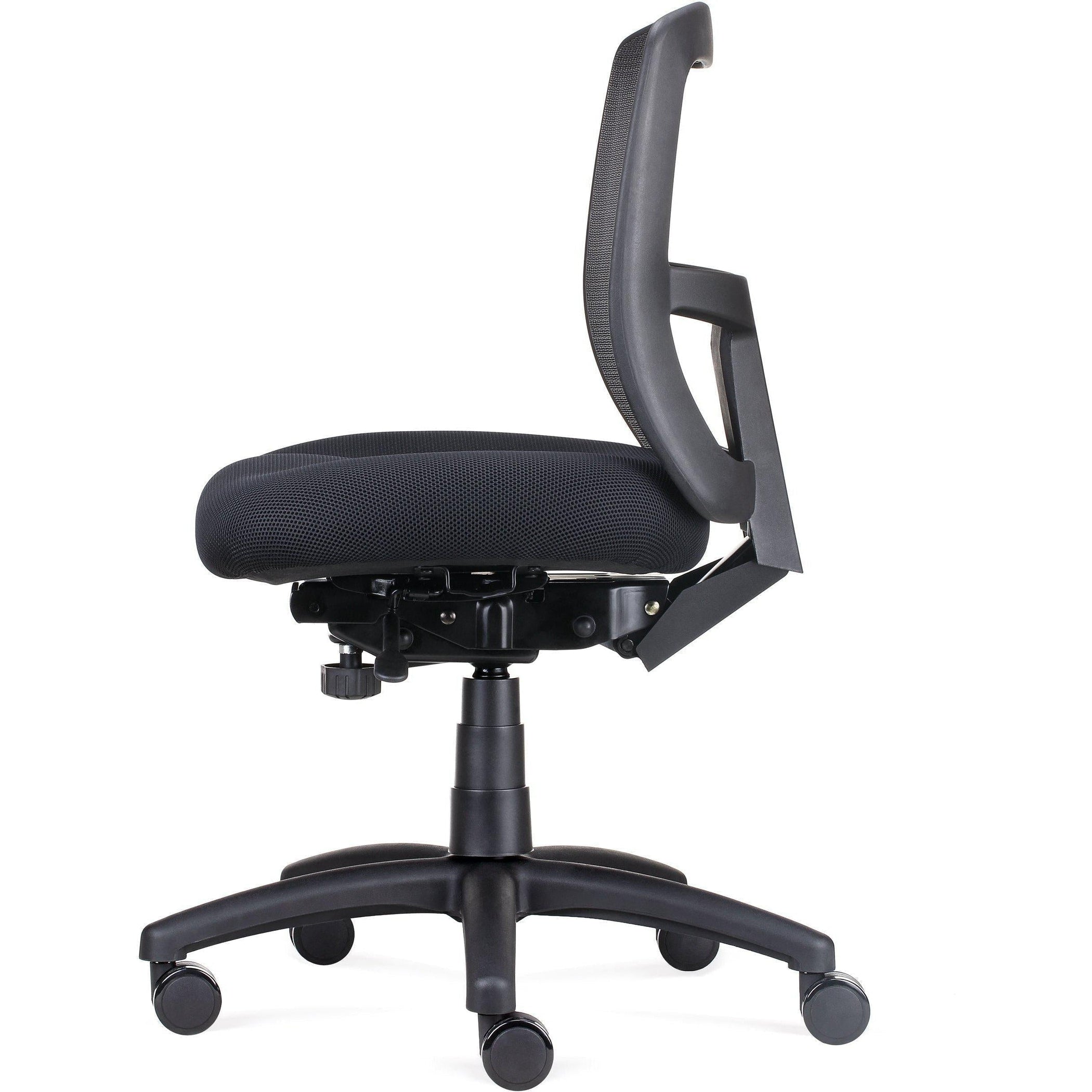 Ergonomic Office Chairs, Ergo Task Chair, Heavy Duty, Big Boy ...