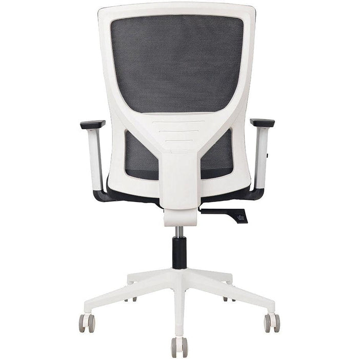 Office Chairs, Fully Ergonomic, Georgia Ergo, Adjustable Lumbar Support