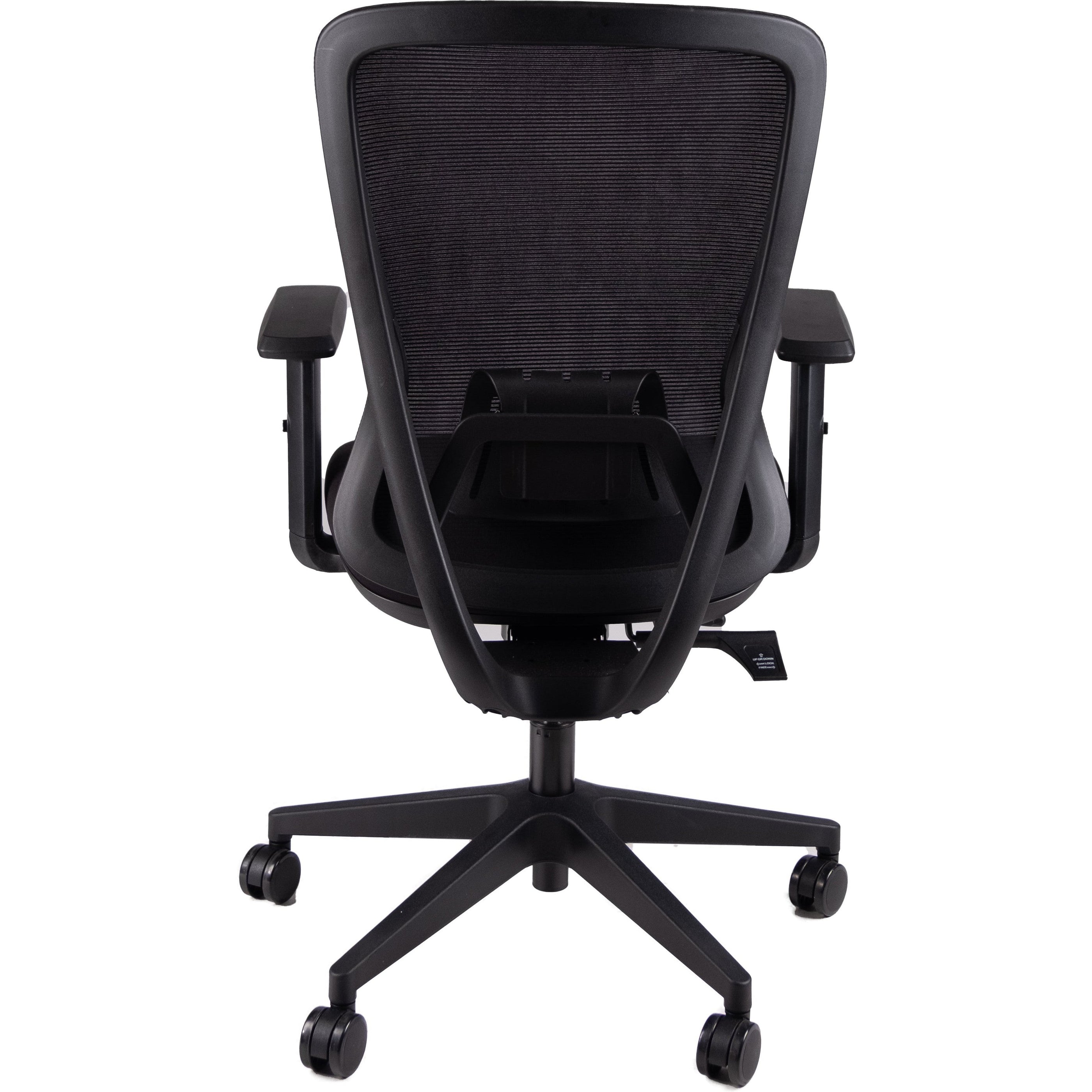 Ergonomic Office Chairs - Ava Task Chair