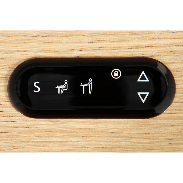 Electric Cordless , Sit to Stand Desk, Rechargeable Battery Mobile ...